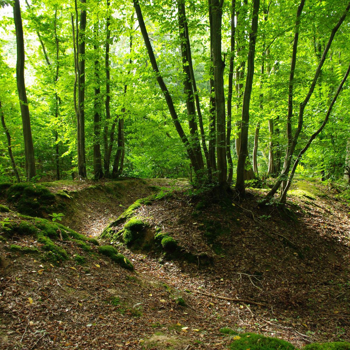 Dundee Parc (Corbeil-Essonnes) | Grand Paris Sud Tourisme