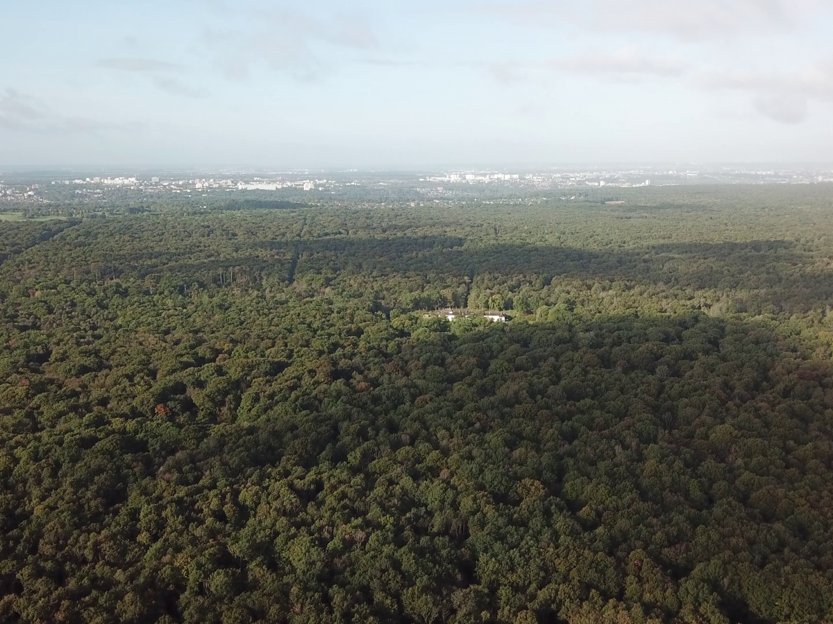 Forest Arena (Cesson) | Grand Paris Sud Tourisme